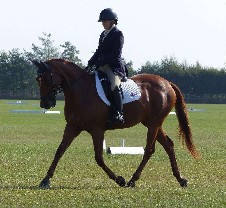 Laura Bennett End Of Season Round Up – Hardy Equestrian
